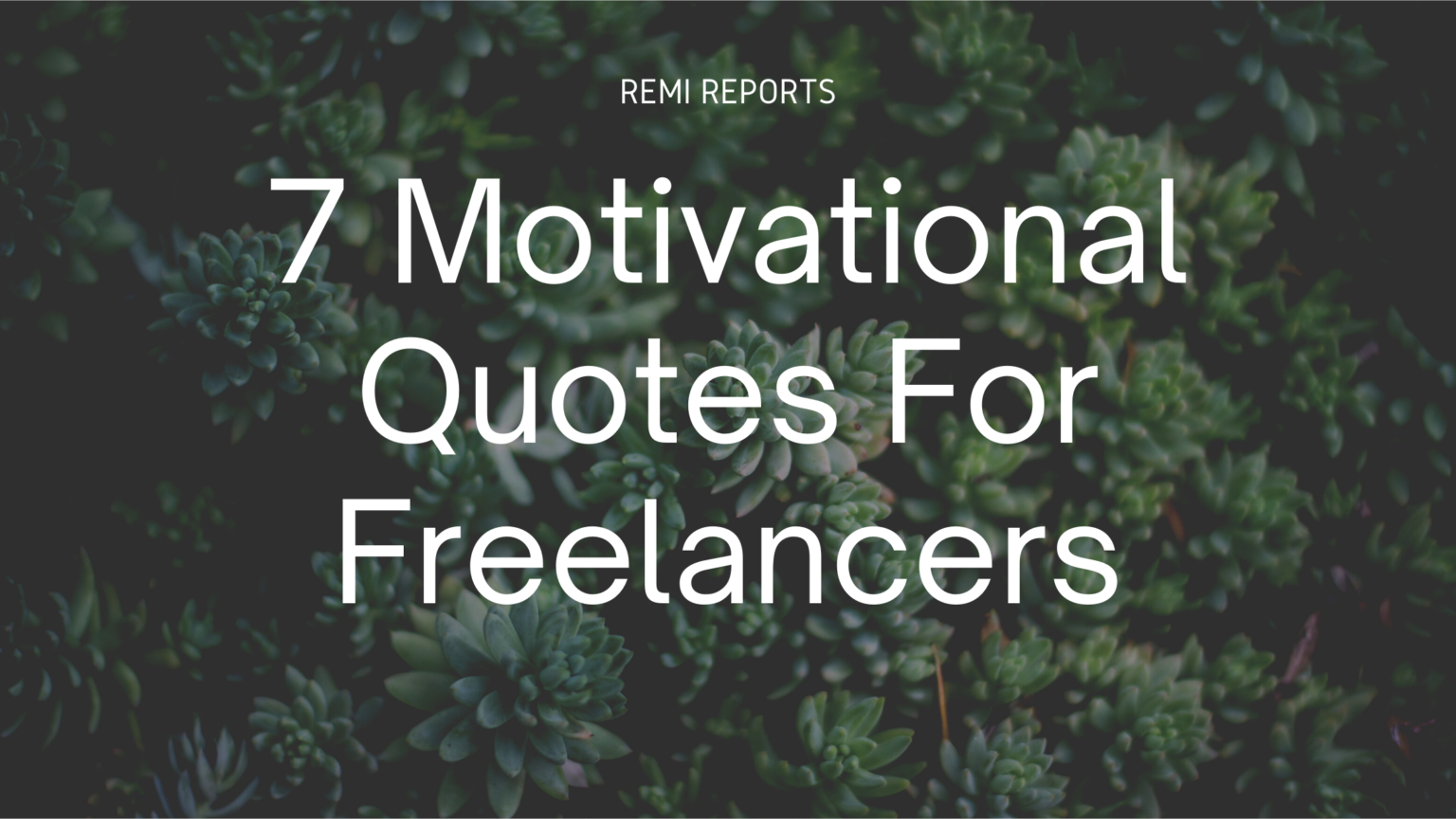 Motivational Quotes For Freelancers: Top 7 - Remi Reports